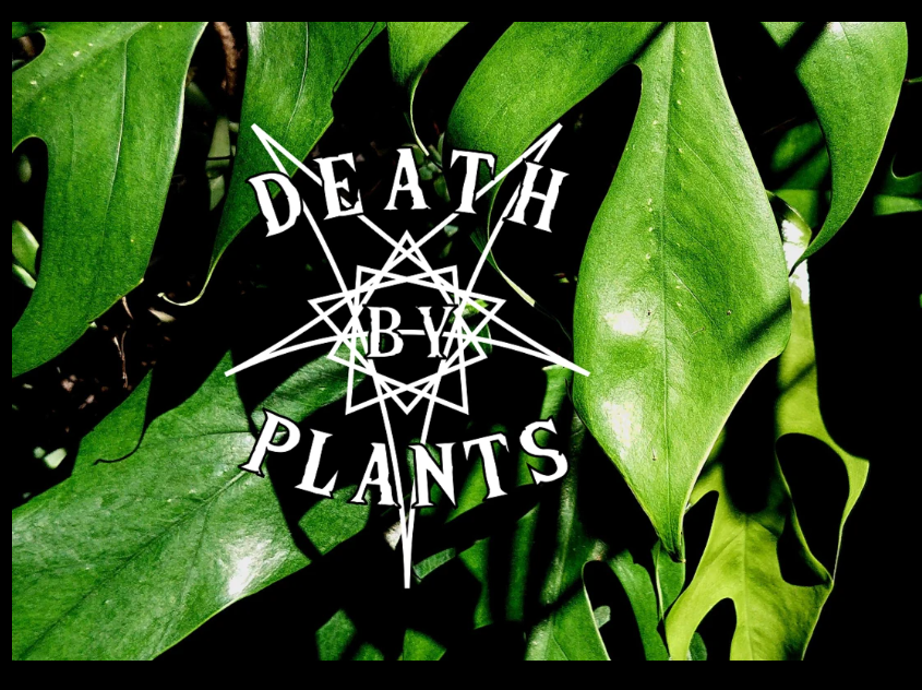Guides, How-to's, and Misadventures – Death by Plants